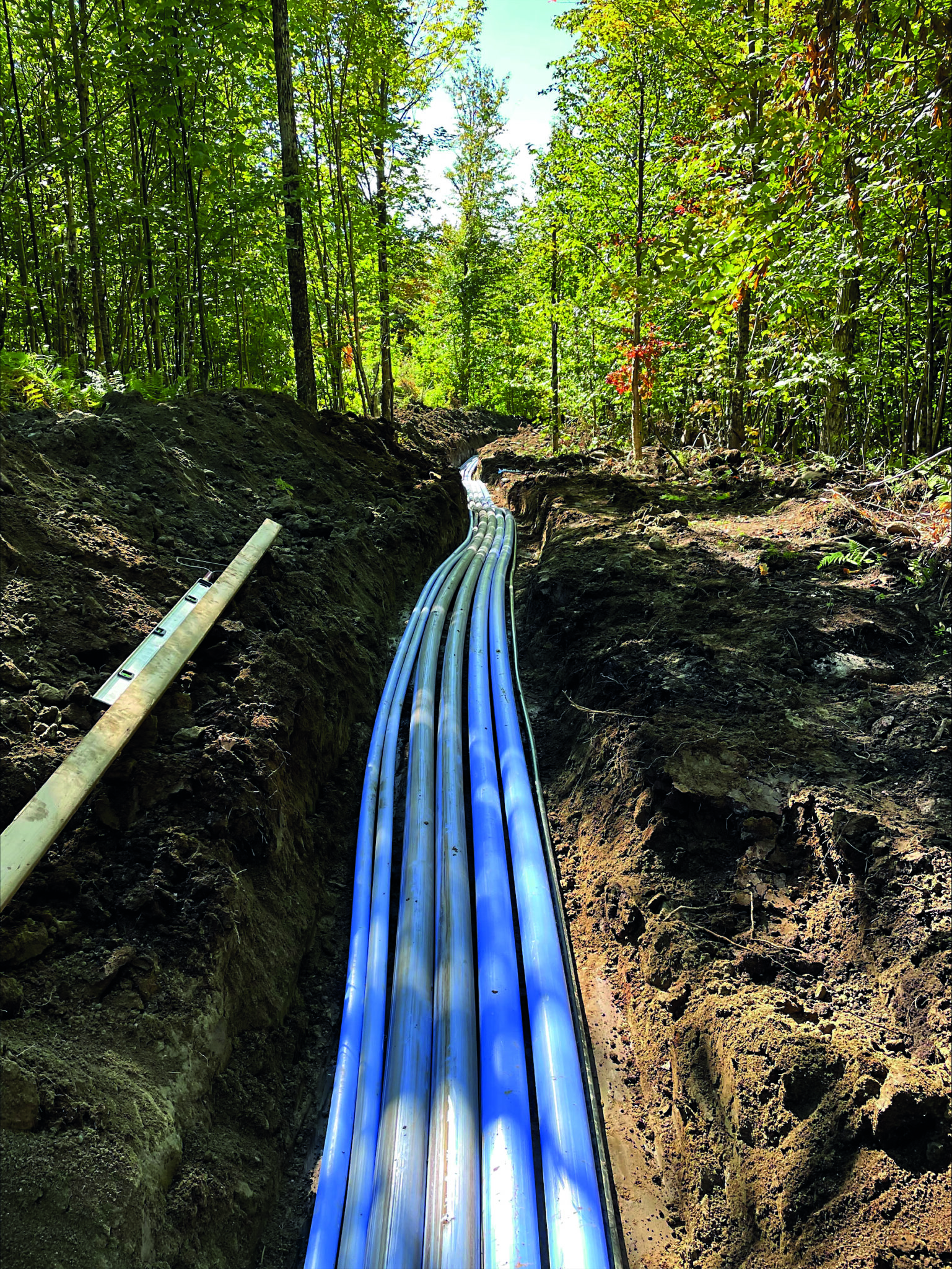 Cdl In The Forest Solutions That Make A Difference Maple Producers